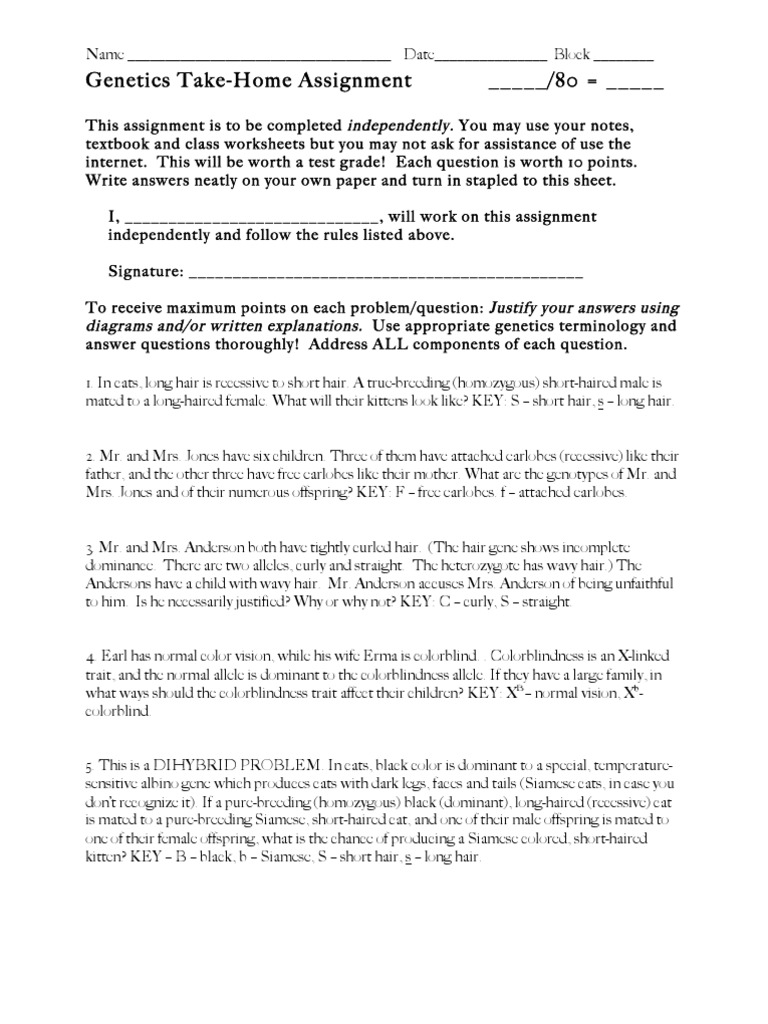 Honors Genetics Take Home 2009 | PDF | Zygosity | Dominance (Genetics)