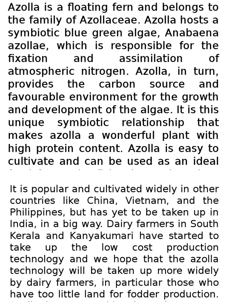 Azolla Pdf Agriculture Food And Drink