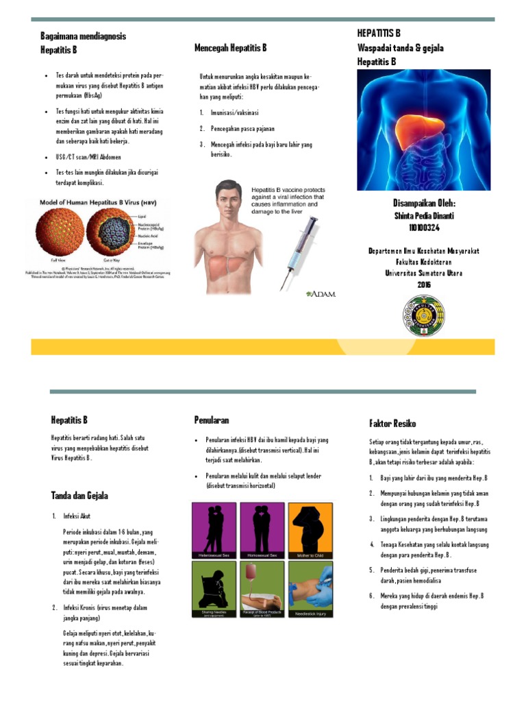 Leaflet Hepatitis B | PDF