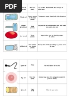 BC Science 8 Workbook Answers | PDF | Electromagnetic Spectrum ...