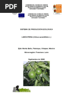 Manual para El Establecimiento de Una Huerta de Aguacate | PDF | Aguacate | Fertilizante