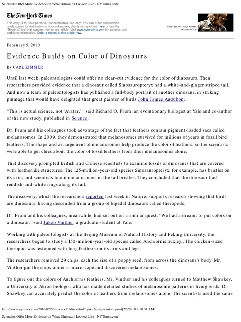 Scientists Offer More Evidence On What Dinosaurs Looked Like - NYTimes ...