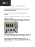 Kapak Lonjong: Alat Neolitikum dan Persebarannya | PDF