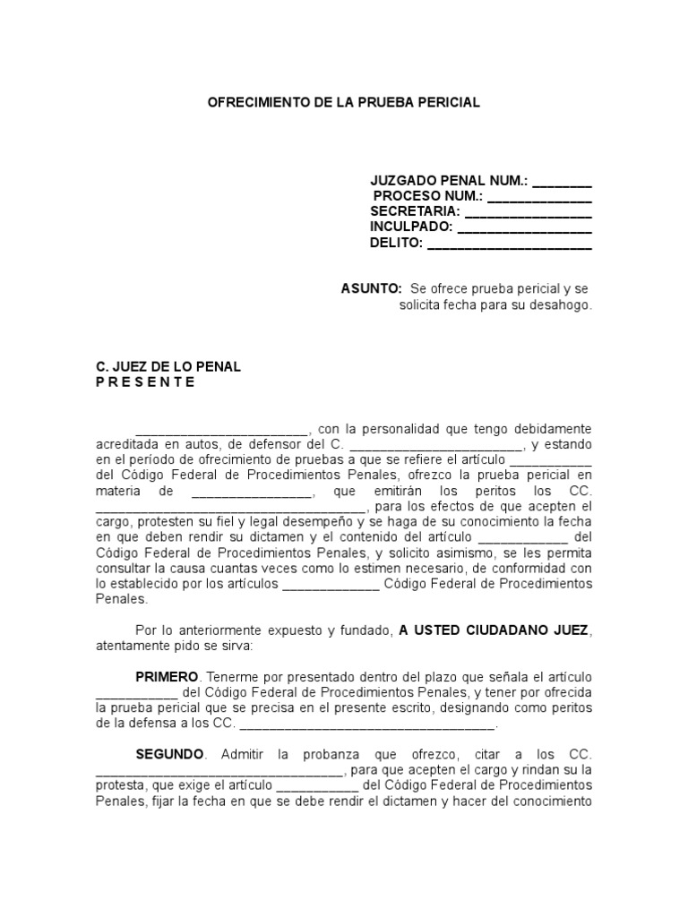 OFRECIMIENTO DE LA PRUEBA PERICIAL