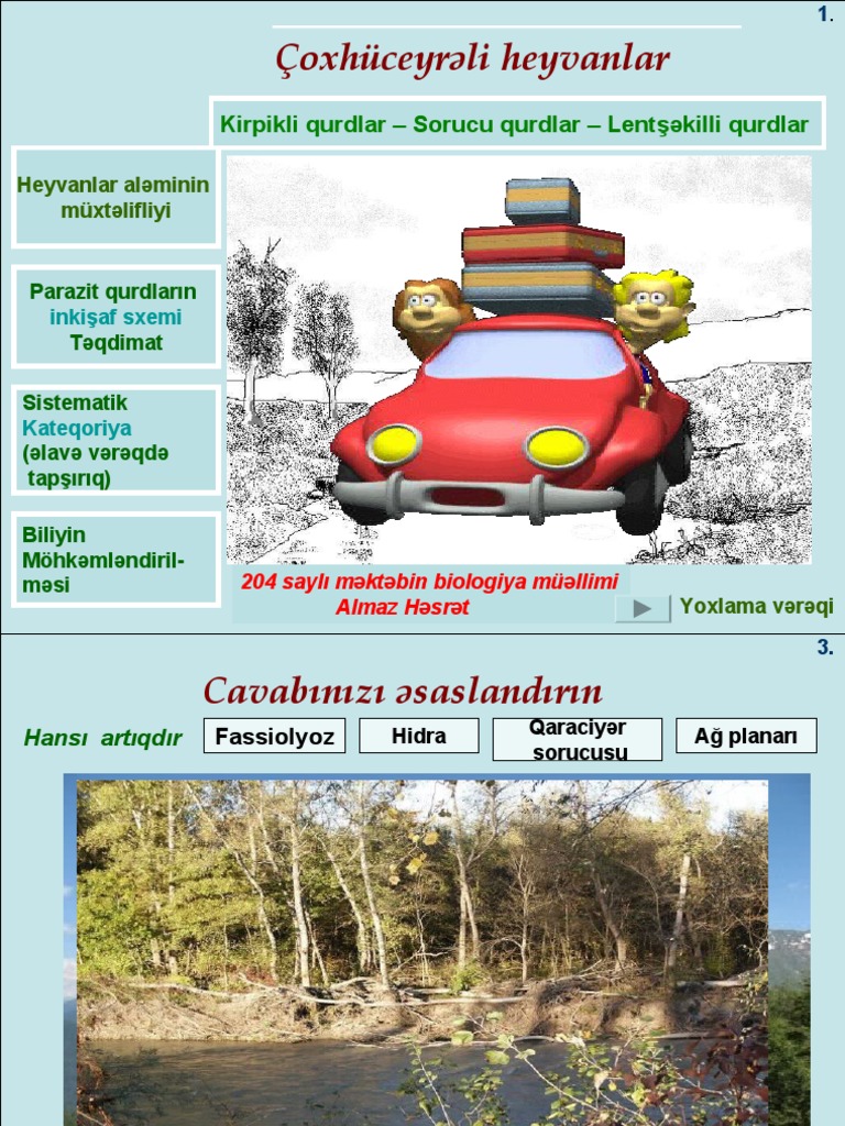 Zoologiya | PDF