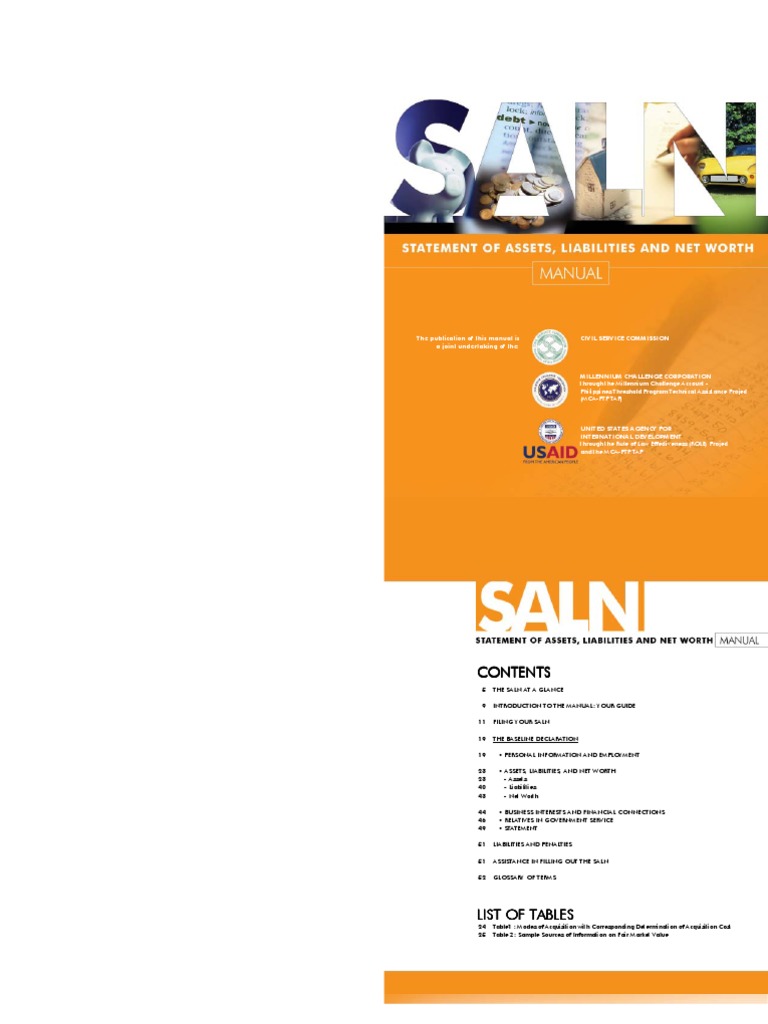 Saln Manual | PDF | Mergers And Acquisitions | Loans