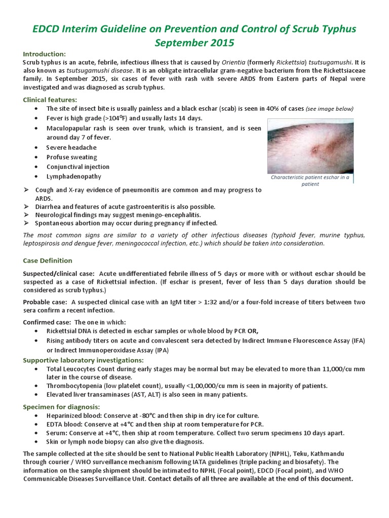 Scrub Typhus Info and Management Guideline on Prevention and Control ...