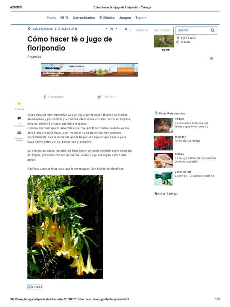 Riesgos y Preparación de Té de Floripondio | PDF | Naturaleza | Medicina