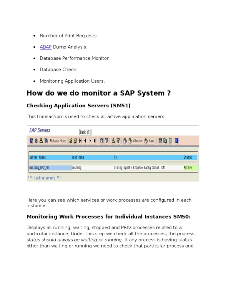 How Do We Do Monitor A SAP System ?: Checking Application Servers (SM51) | PDF
