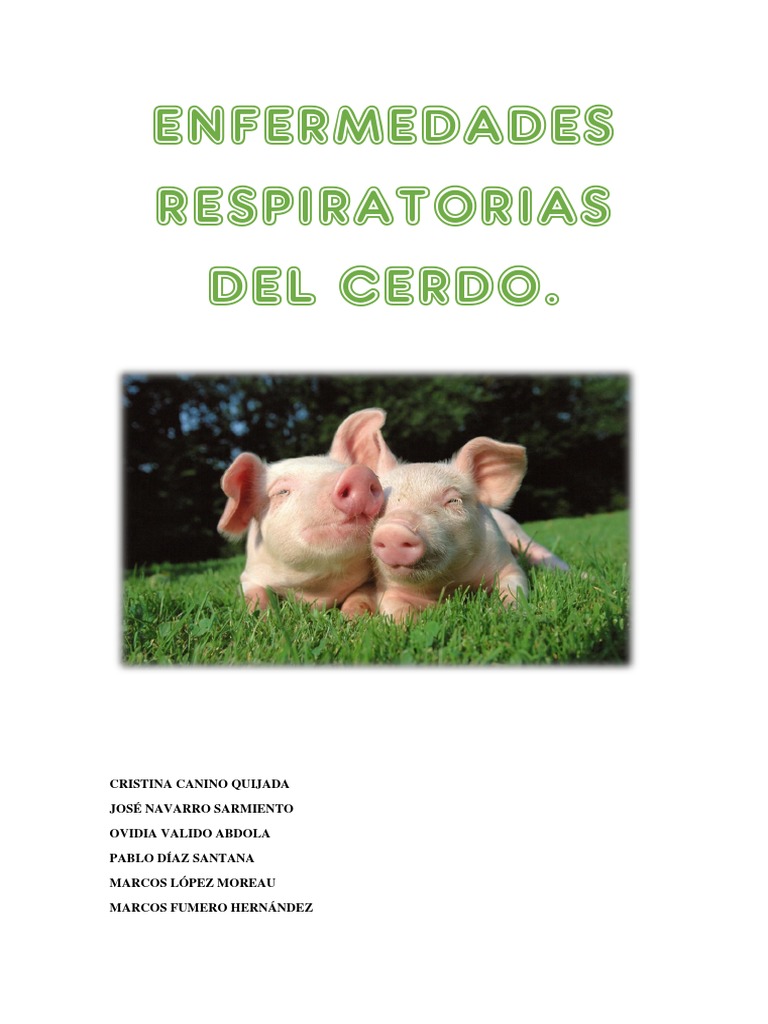 Enfermedades Respiratorias Del Cerdo | PDF | Influenza Porcina | Influenza