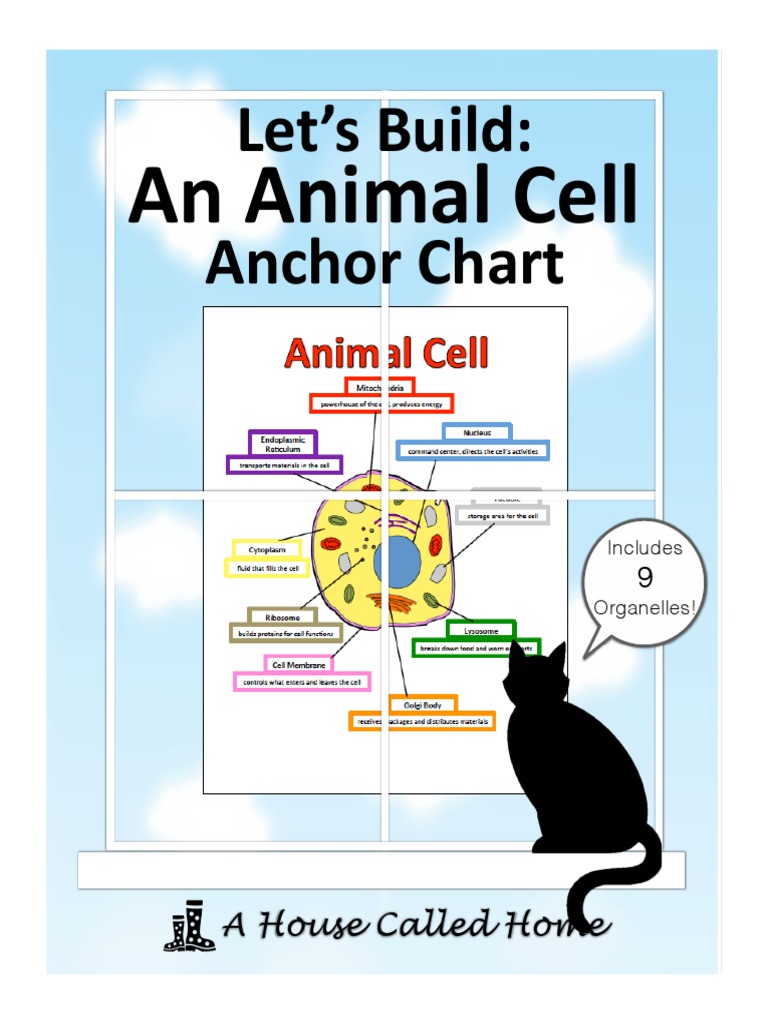 An#Animal#Cell: Let's#Build: Anchor#Chart | PDF | Cytoplasm | Lysosome