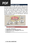 Northwestern Beta-Lactam Cross-Reactivity Chart | PDF | Penicillin ...
