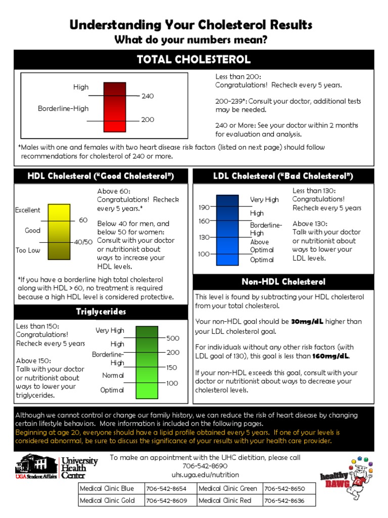 Understanding Cholesterol Levels and Risks | PDF | Cholesterol ...