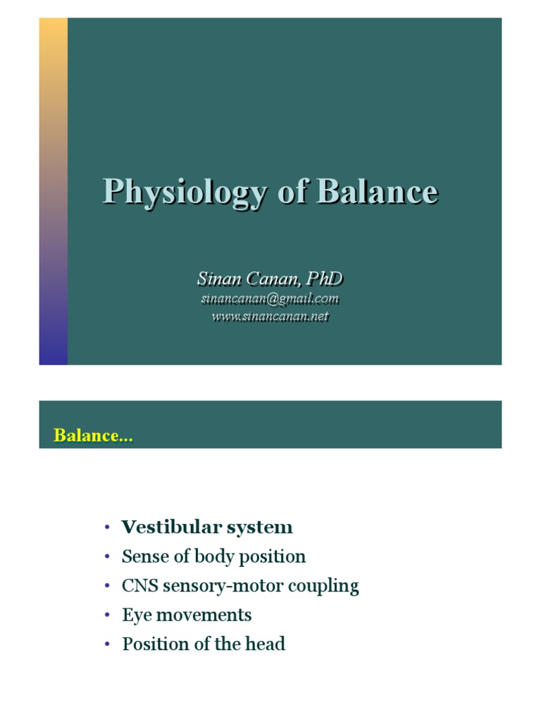 Physiology of Balance | PDF