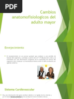 Cuadernillo Sedemar MX 2025 Examen Vrd-1 | PDF