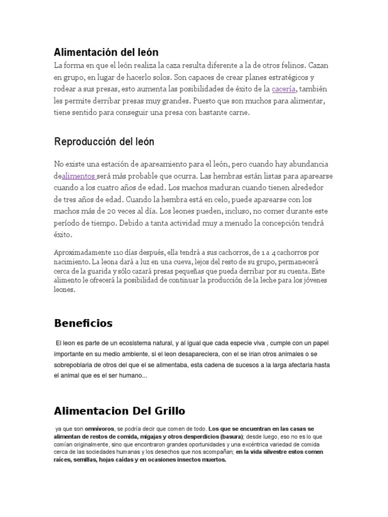 Alimentación Del León | PDF | León | Alimentos