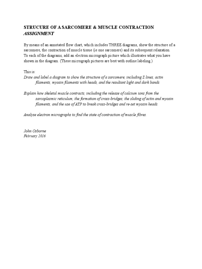 muscle-contraction-worksheet-pdf-muscle-contraction-animal-anatomy
