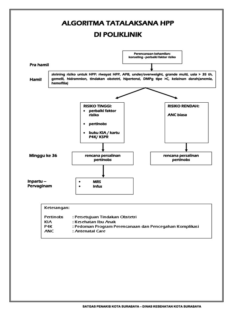 Algoritma Tatalaksana HPP Di Poliklinik | PDF