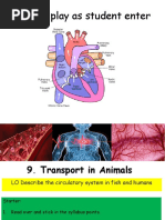 Fish Heart Structure and Function | PDF | Circulatory System | Heart