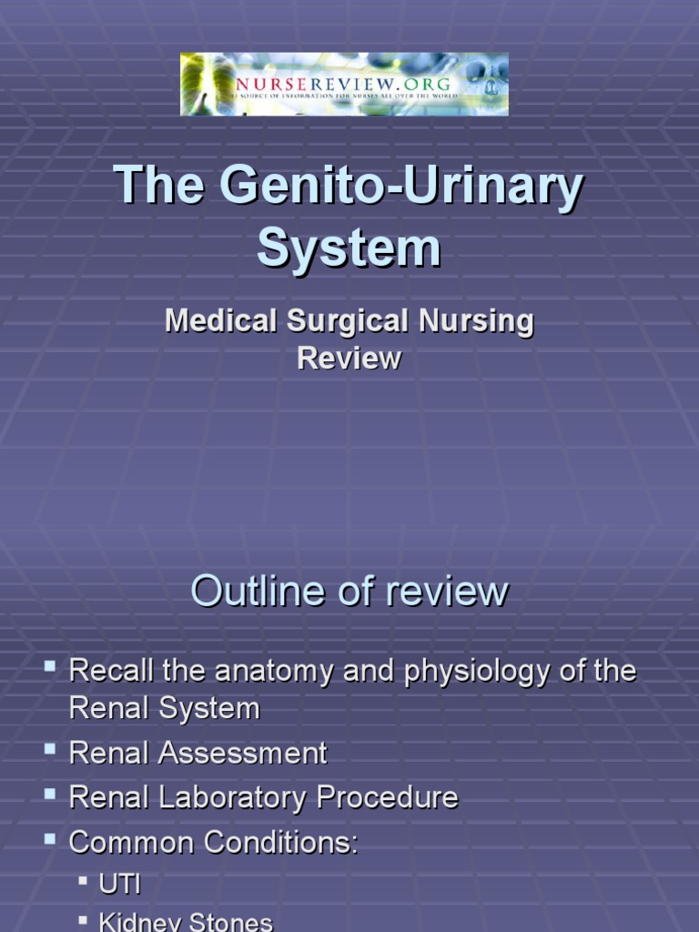 Genito Urinary System | PDF | Urinary Tract Infection | Hemodialysis