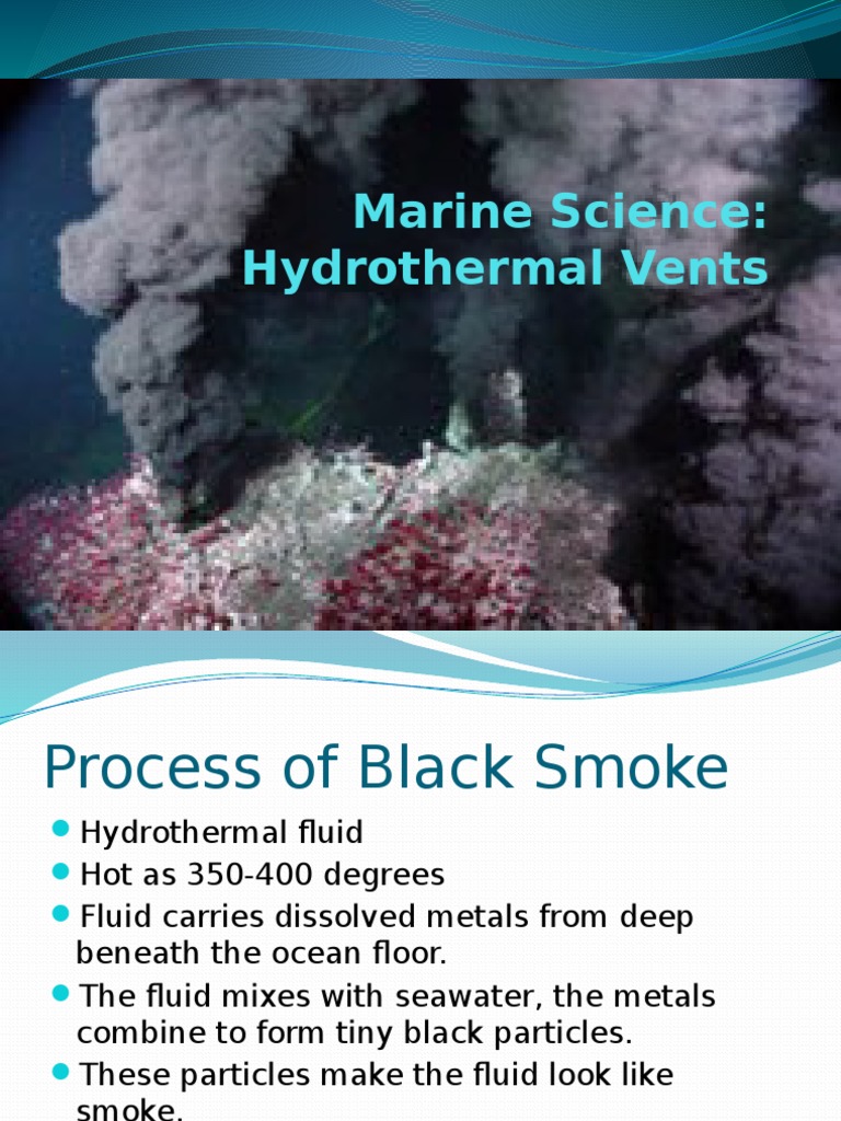 Marine Science | PDF | Science & Mathematics