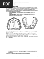 Protocolo Impresión Definitiva para Protesis Total | PDF | Dentadura ...