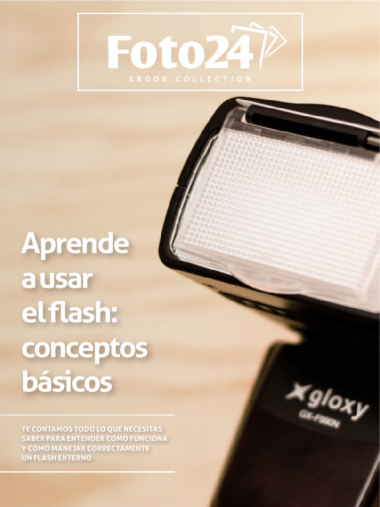 Aprende A Usar El Flash: Conceptos Básicos | PDF