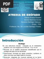 Guía Clínica sobre Atresia Intestinal | PDF | Intestino grueso | Infantes