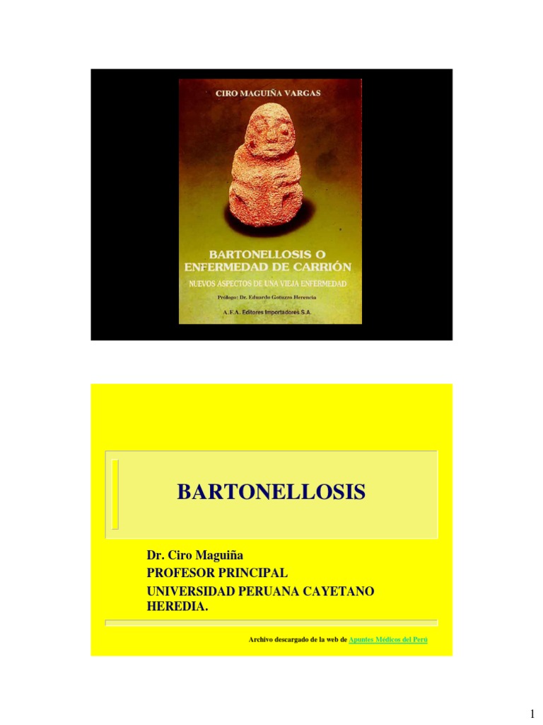 Bartonelosis | PDF | Medicina | Medicina CLINICA