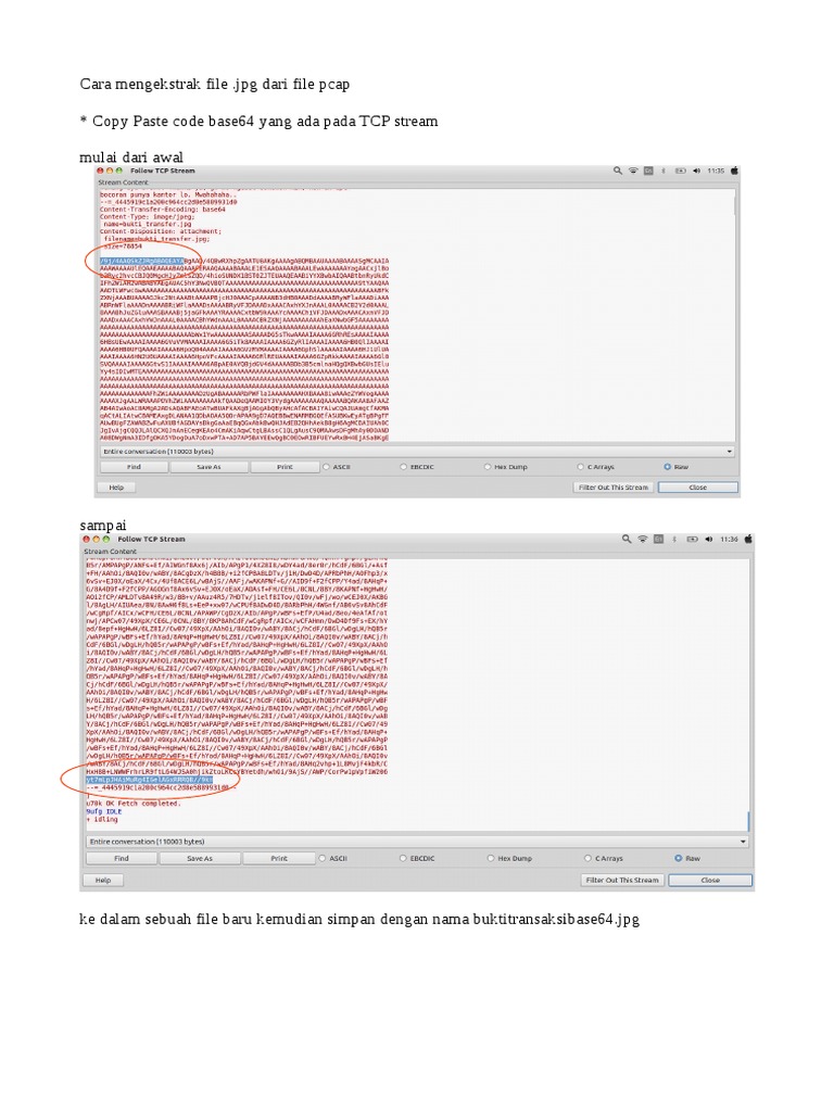 Cara Ekstrak File JPG .Pcap | PDF