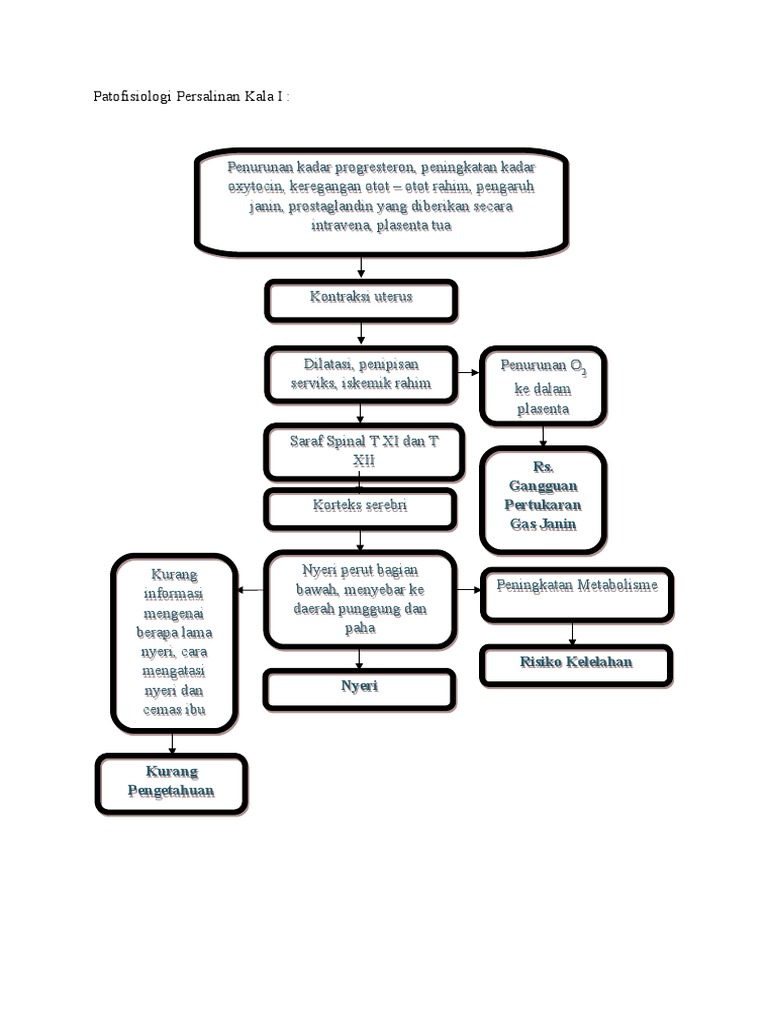 Pathway Persalinan | PDF
