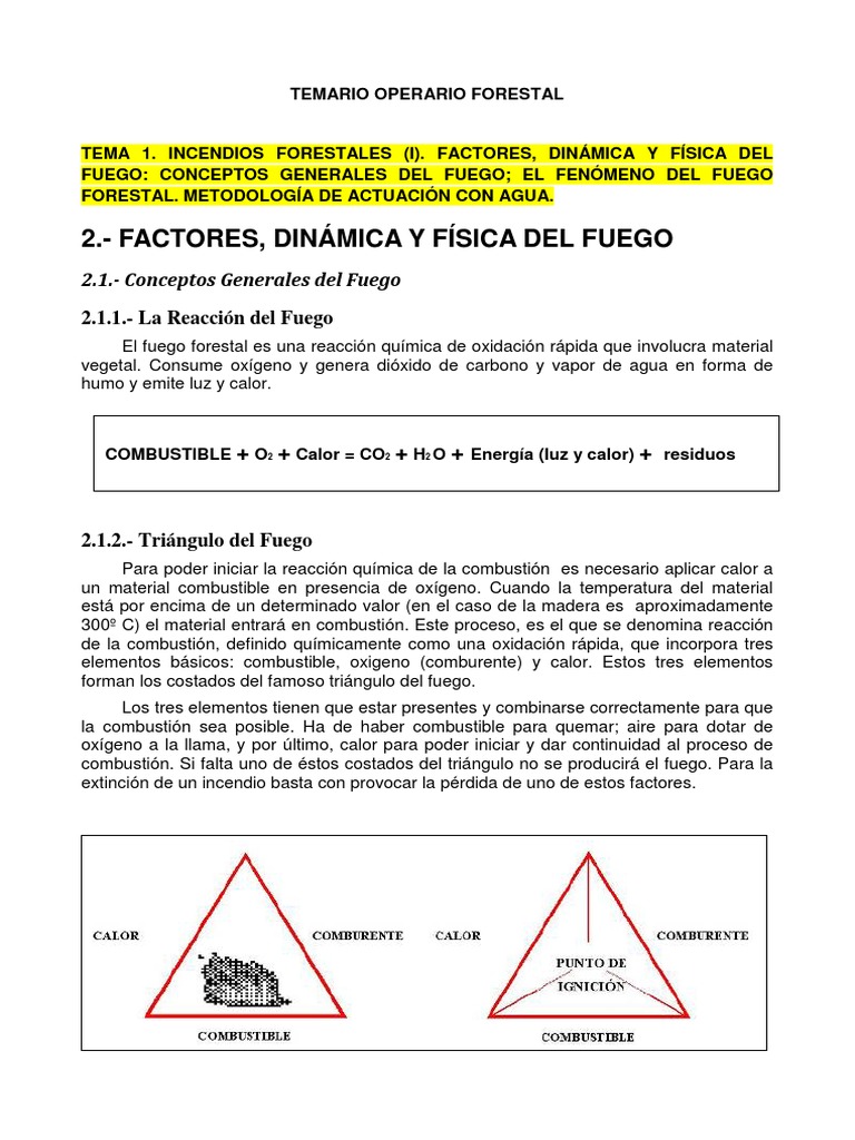 Triangulo Fuego | PDF | Combustión | Velocidad del viento
