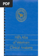 Dog Anatomy: A Photo Atlas | PDF