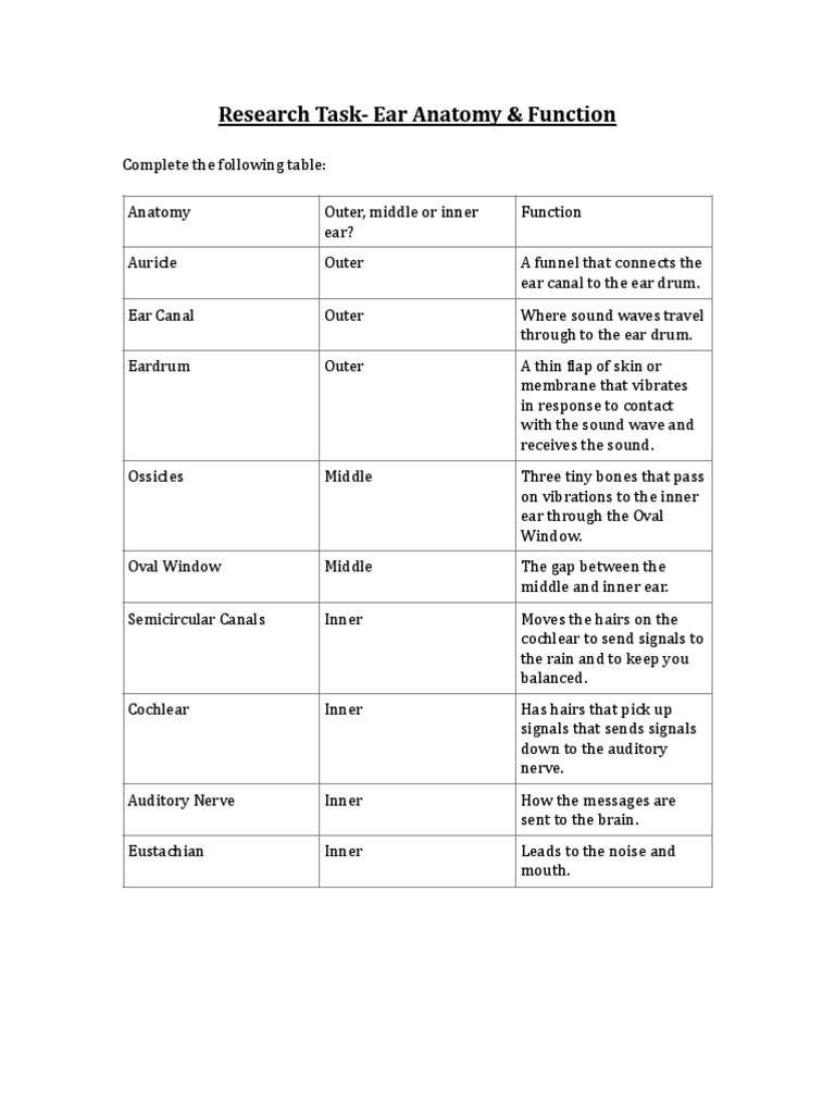 Ear Anatomy and Function Overview | PDF | Foreign Language Studies ...