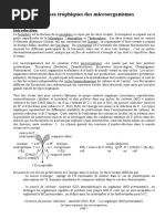 Sporulation et structure des spores bactériennes | PDF | Spore | Biologie