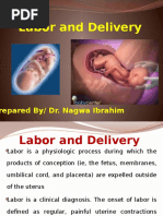 C-Section Guide | PDF | Caesarean Section | Childbirth