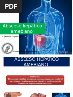 Cápsula de Glisson | PDF | Tejido adiposo | Riñón