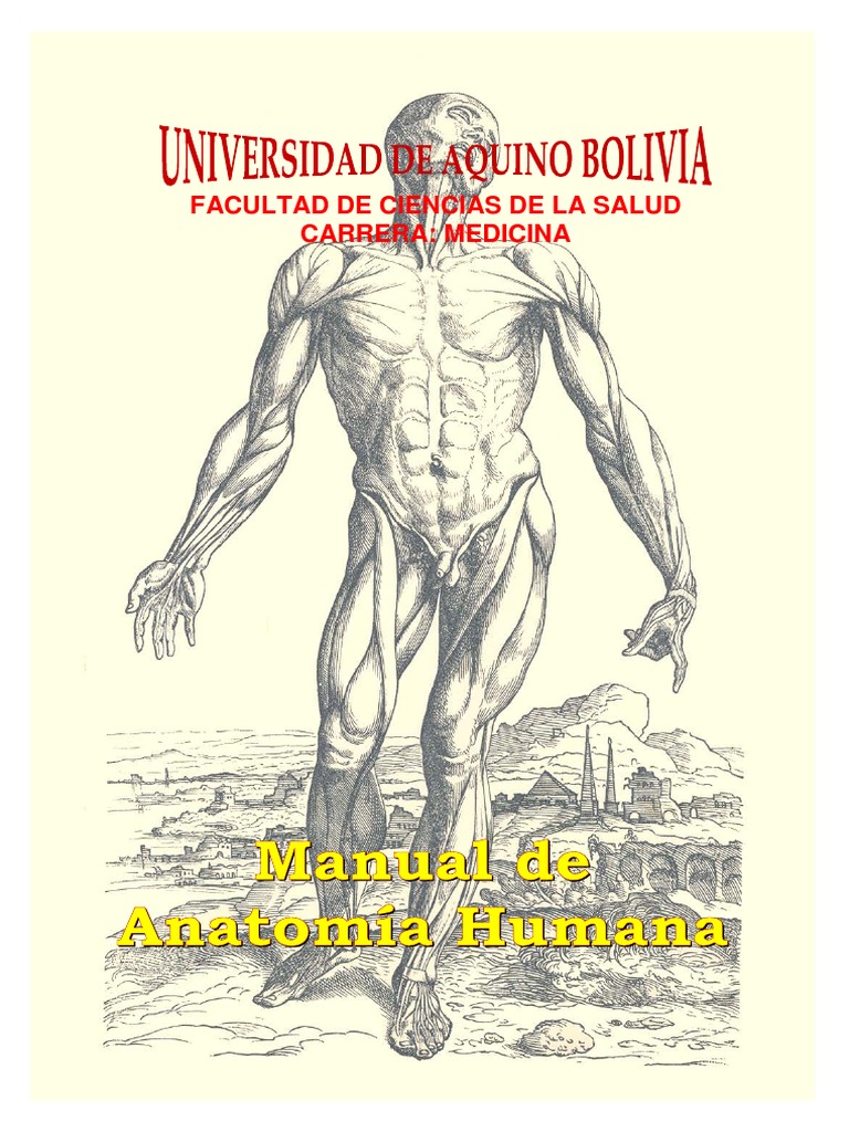 Manual de Anatomía Humana para Medicina | PDF | Hueso | Anatomía humana
