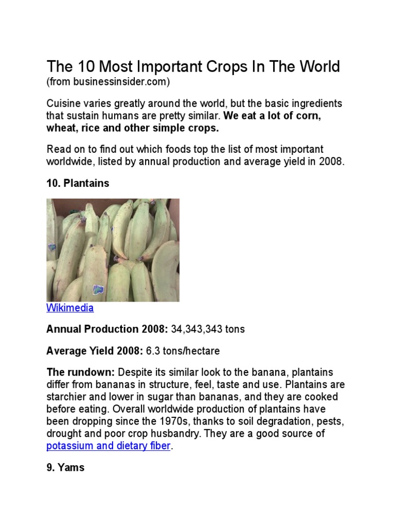 Top 10 Most Important World Crops | PDF | Maize | Rice