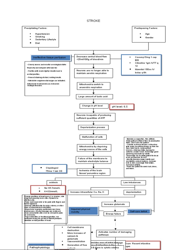 Concept Map CVA | Stroke | Cellular Respiration