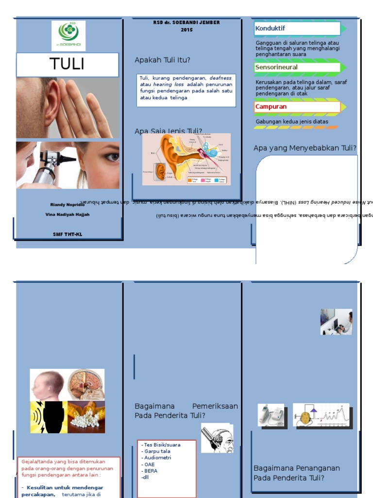Leaflet Tuli Edit Print | PDF | Kesehatan Holistik | Gaya Hidup
