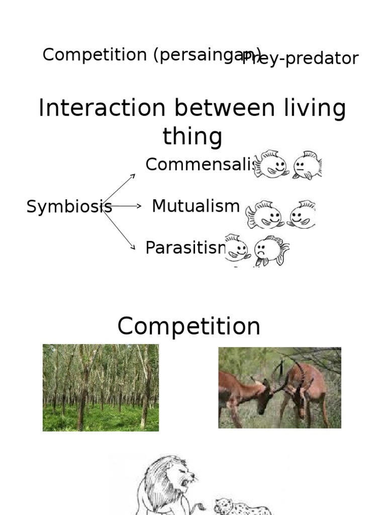 Interaction Between Living Thing | PDF