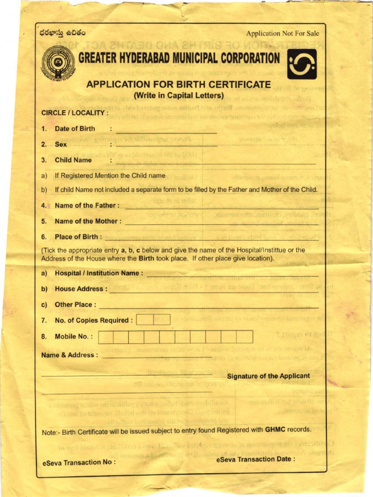 Birth Certificate PDF | Download Free PDF | Birth Certificate ...