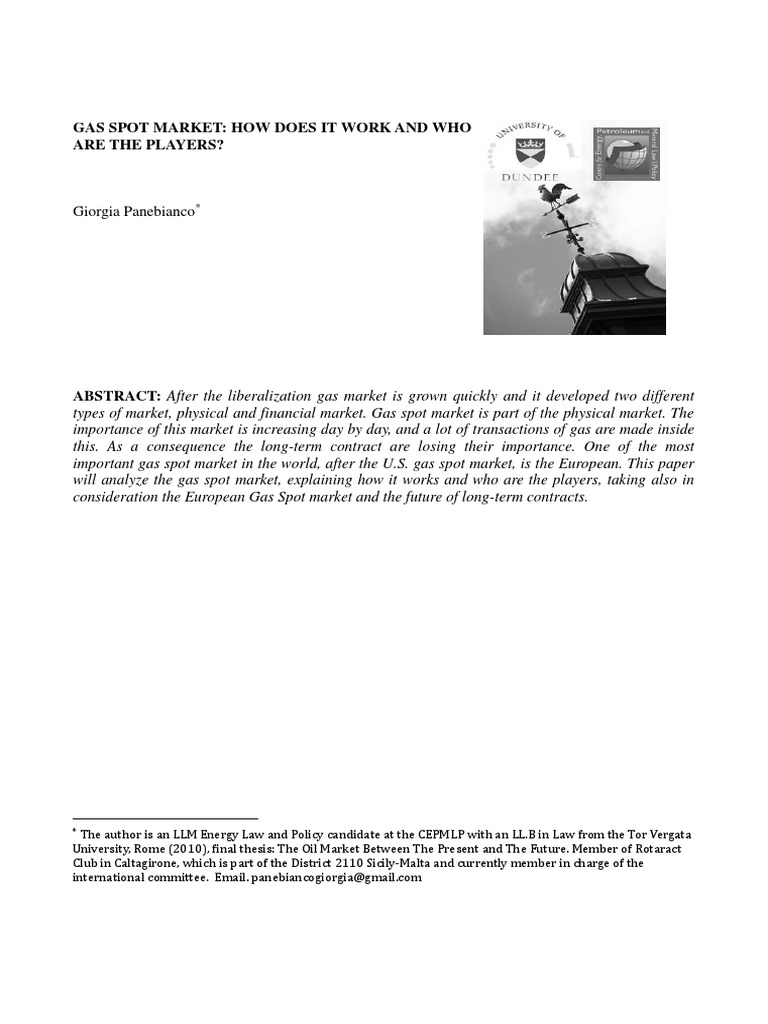 Understanding the Gas Spot Market | PDF | Futures Contract | New York ...