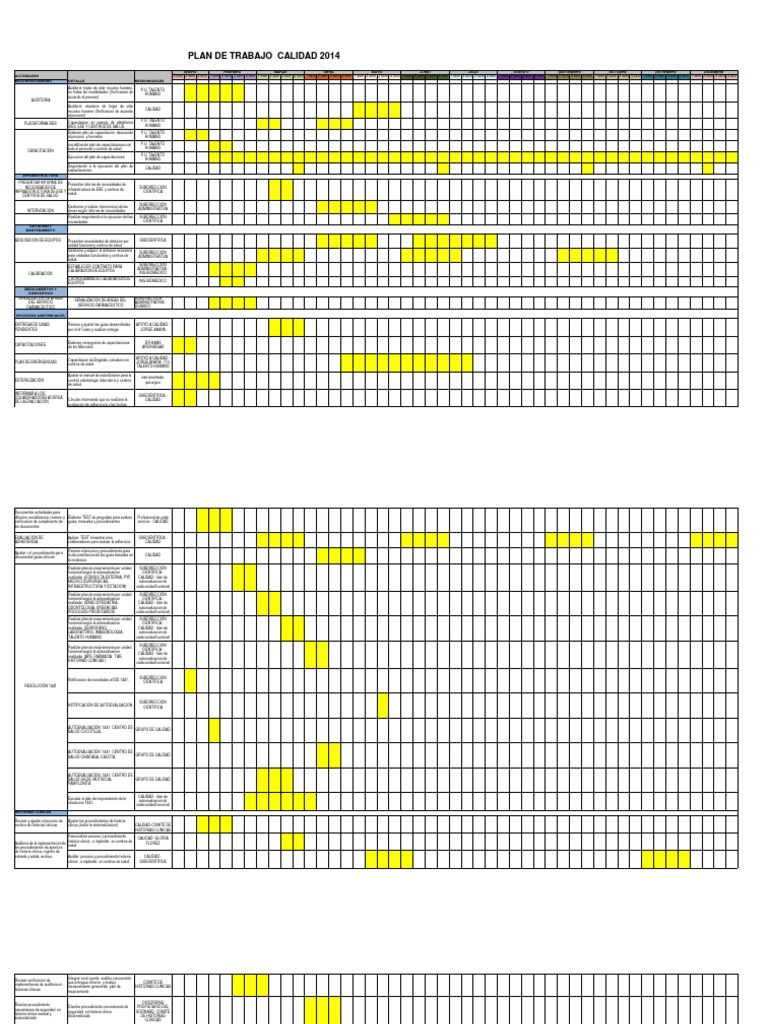 Ejemplo de Plan de Trabajo Calidad | PDF | Sistema de manejo de calidad | Medición