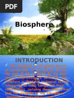 THE BIOSPHERE Grade 7 | PDF | Earth | Plants