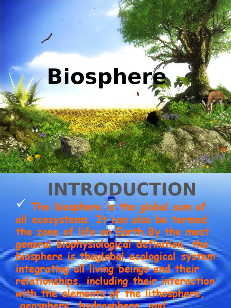 Biosphere | PDF | Biogeochemistry | Ecology