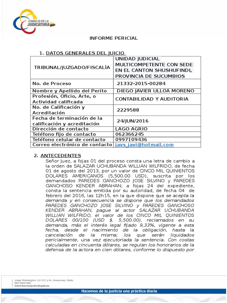 Modelo de Informe Pericial Contable | Descargar gratis PDF | Testigo ...