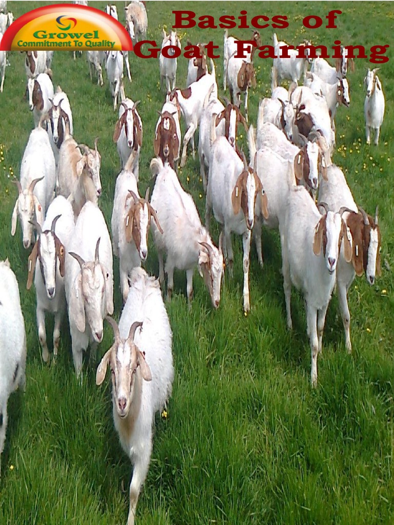 Basic of Goat Farming in India | PDF