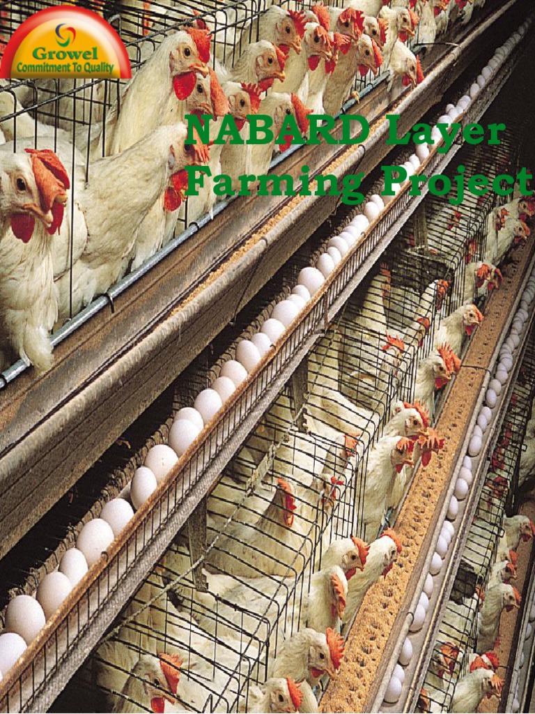 NABARD Layer Farming Project | PDF | Poultry | Poultry Farming